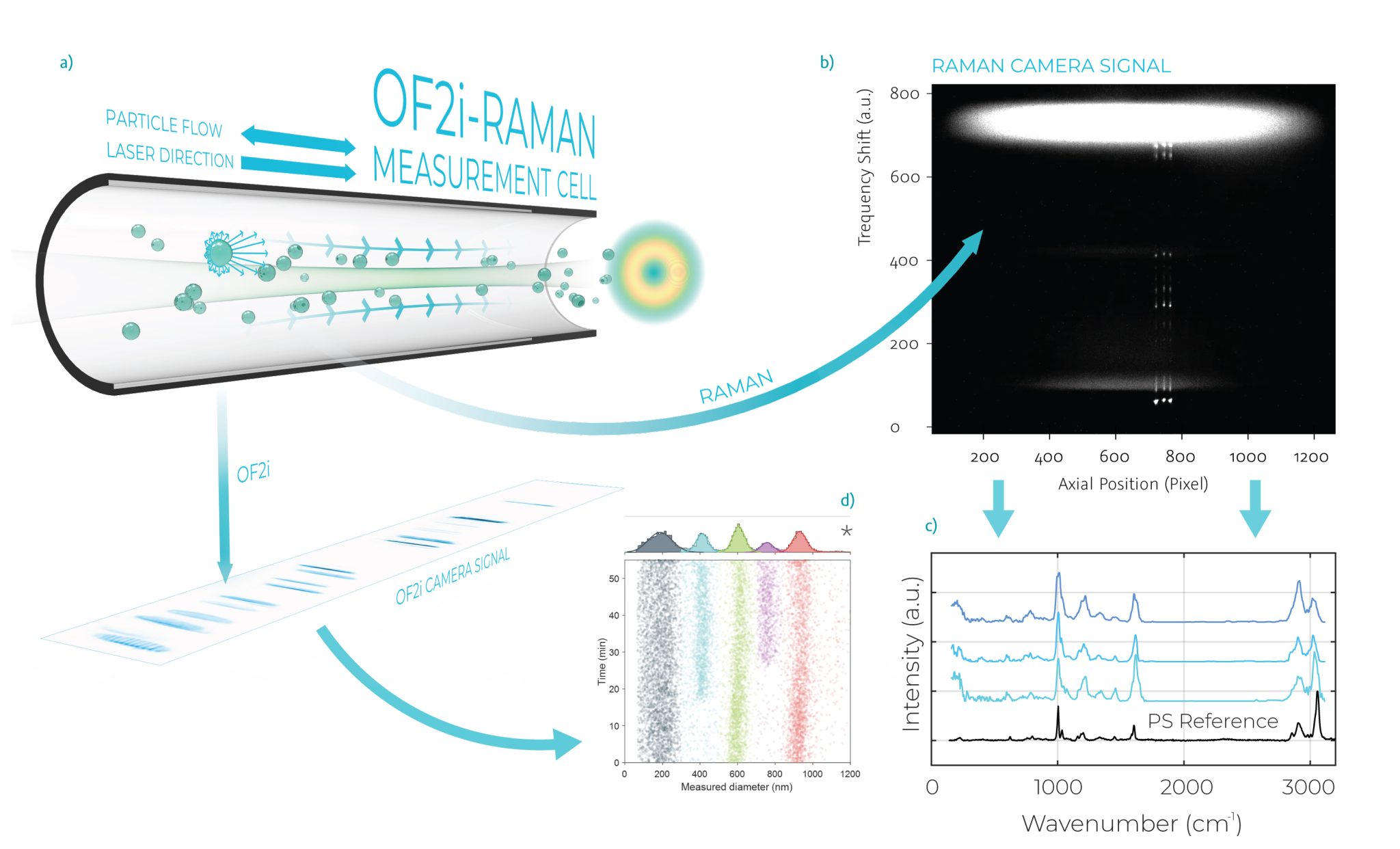 In-flow Raman analysis identifies particles & contaminants